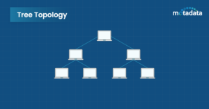 What is Network Topology? Types & Mapping Explained